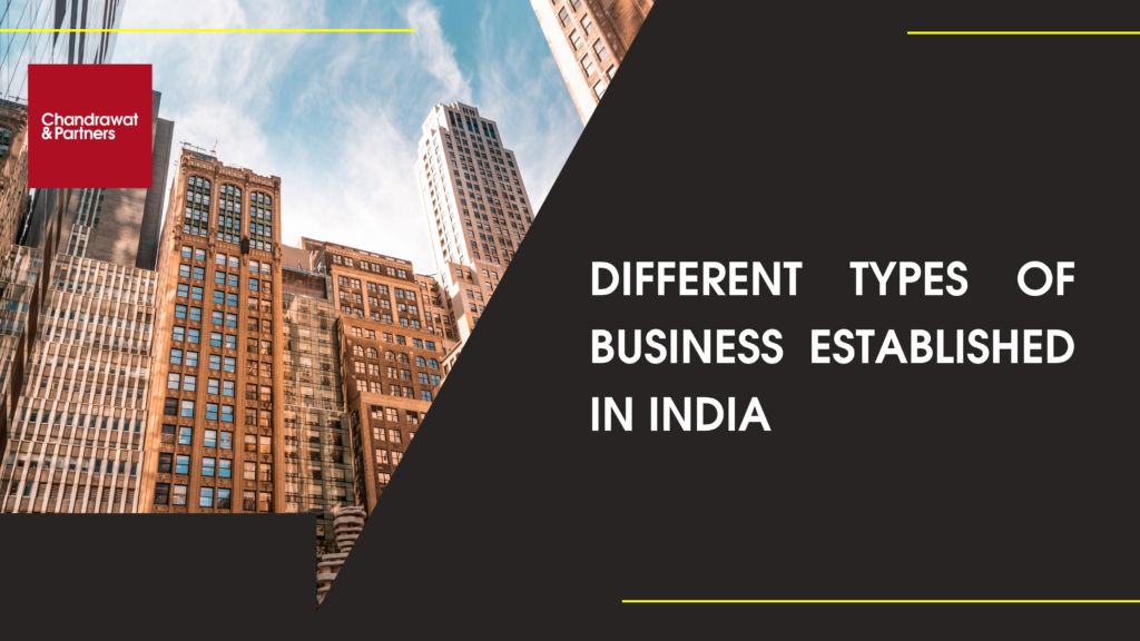 Different Types of Business Established in India - Chandrawat & Partners